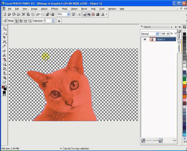 White Background Remover Photo Editor Infoupdate