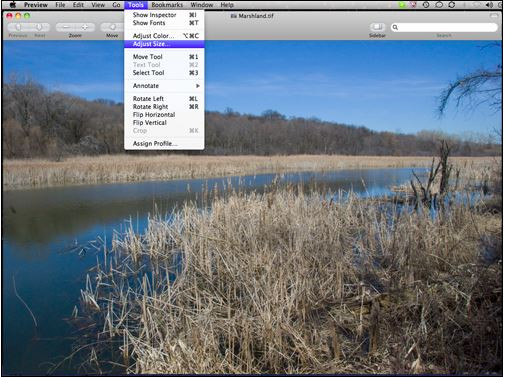 How To Increase Image Size With 3 Helpful Methods